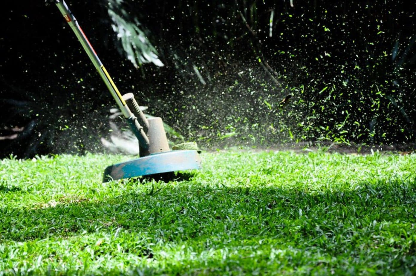 What Is a String Trimmer? Learn More About This Useful Tool