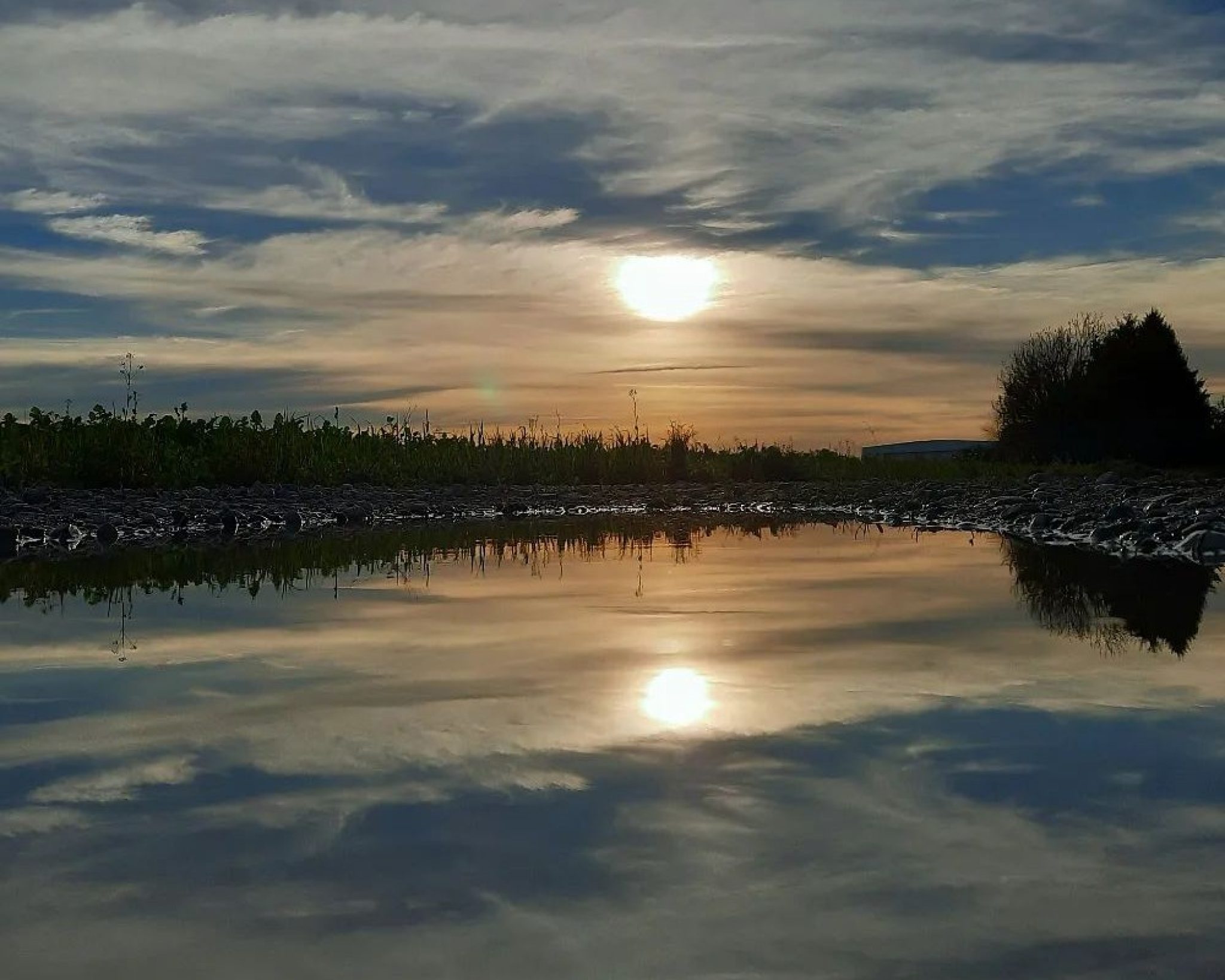 How Many Lumens Is the Sun? Complete Review